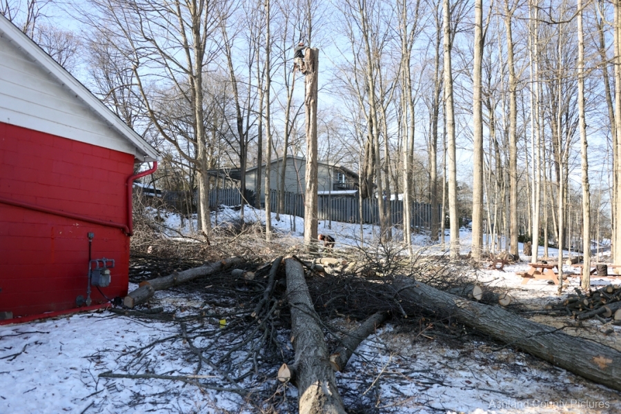 Something Sweet Is Stirring at Yoder’s Red Barn Ice Cream - Ashland ...