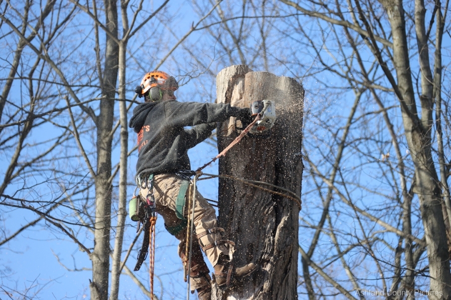 Something Sweet Is Stirring at Yoder’s Red Barn Ice Cream - Ashland ...